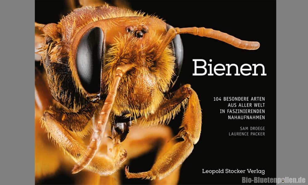 „Bienen“ von Sam Droege – Blütenpollen – natürliche Urkraft.