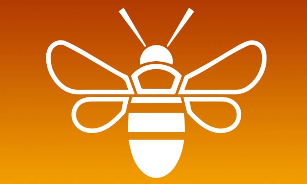 Die faszinierende Anatomie der Bienen – Blütenpollen – natürliche Urkraft.